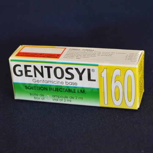 GENTOSYL, 160 mg, 1 amp inj 2 ml – Fiche médicament